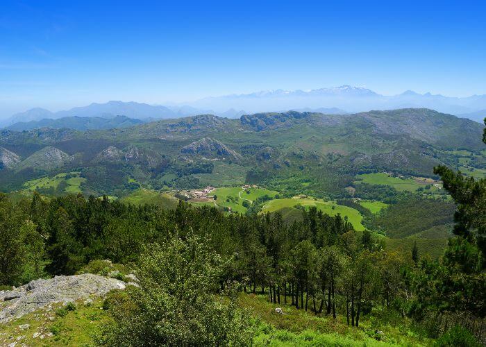 Conoce el espacio protegido de la Sierra del Sueve | ARTIEM